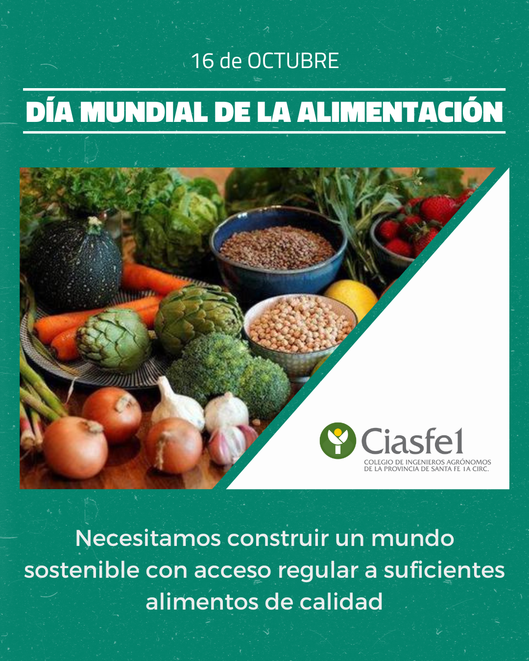 16 de octubre | Día Mundial de la Alimentación | CIASFE1 | Colegio de ...