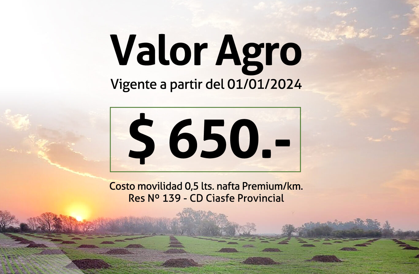 Nuevo valor del AGRO – Vigente a partir de 01/01/2024 | CIASFE1 | Colegio de Ingenieros ...